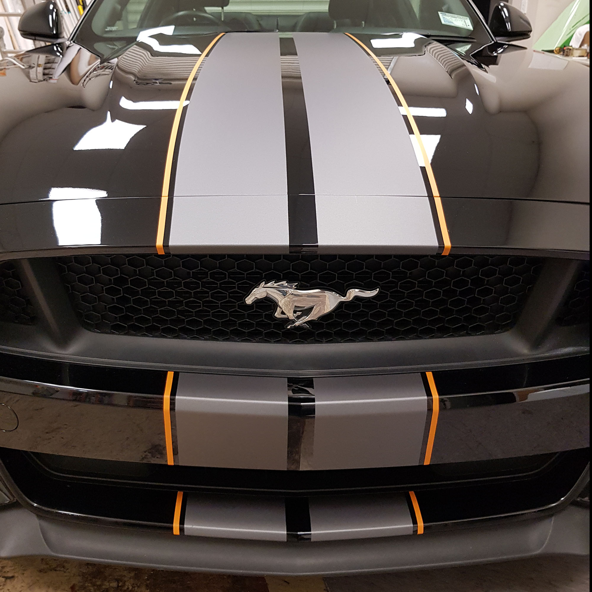 Mustang Racing Stripes | OUR WORK | New Zealand